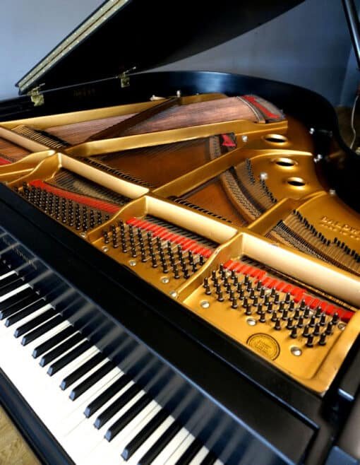 Baldwin Model M Artist Series Baby Grand Piano Ebony Black - Cameron Piano