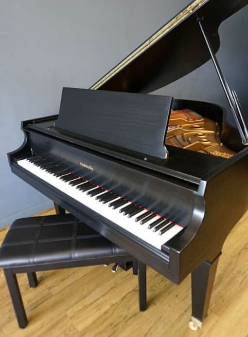 Baldwin Model M Artist Series Baby Grand Piano Ebony Black - Cameron Piano